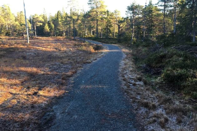 46 ATV Uses That Will Make Your Life Easier